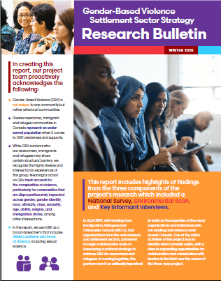 IRCC Gender Based Violence Settlement Sector Strategy Partnership ...